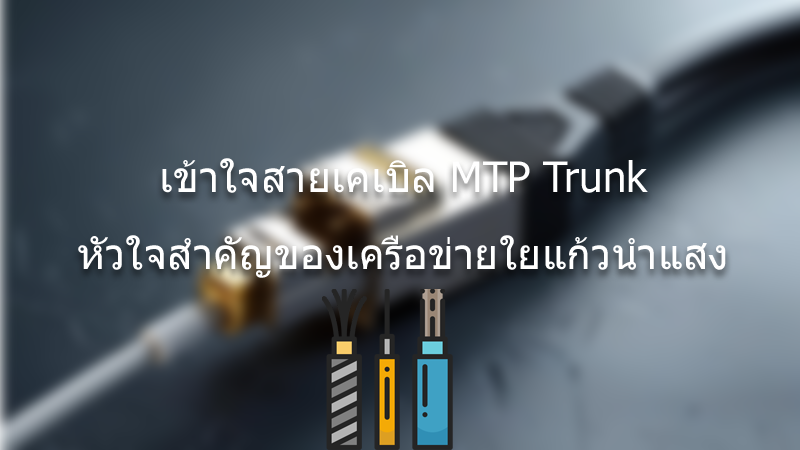 เข้าใจสายเคเบิล MTP® Trunk: หัวใจสำคัญของเครือข่ายใยแก้วนำแสงความหนา ...